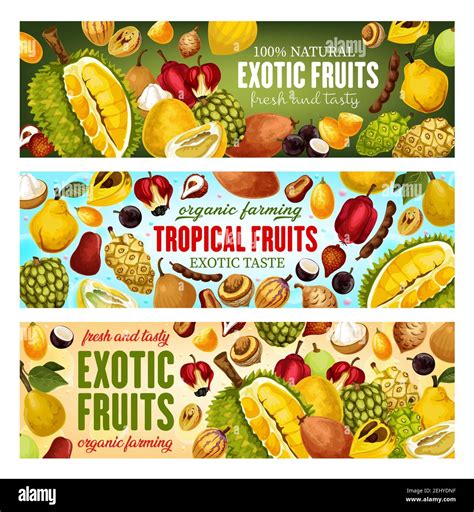 Exotic Fruits And Tropical Berries Vector Banners Design Asian Durian