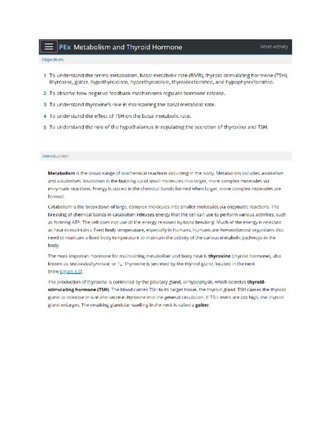 Endocrine Lab N A BIOL 3730 Studocu