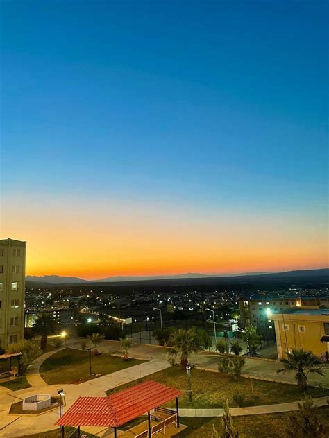 داخیلییەکانی زانکۆی کۆیە