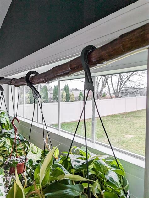 Branch Hanger 1 By Brittany Goldwyn Live Creatively