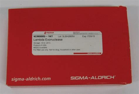 Lambda Exonuclease Ultra Pure Enzyme For Nucleic Acid Modifications