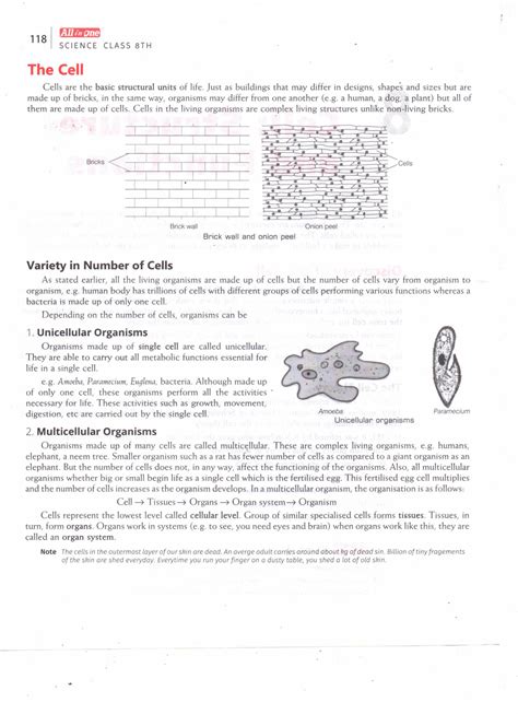 SOLUTION Cell Structure And Functions Studypool