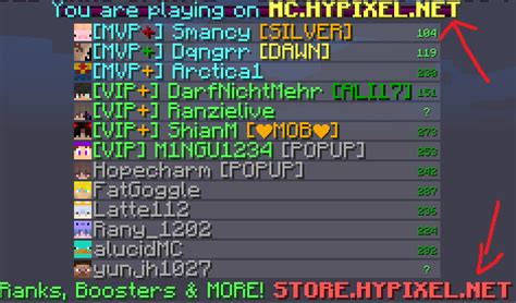 How Do I Get The Tablist Not The Playerlist Modder Support Forge