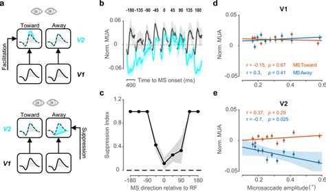 The Suppression Contributes To Direction Specific Microsaccade