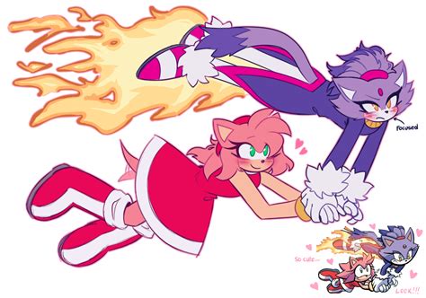 12498 Safe Artistminxinq Amy Rose Blaze The Cat Cat Hedgehog