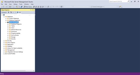 Database Management With Ssms