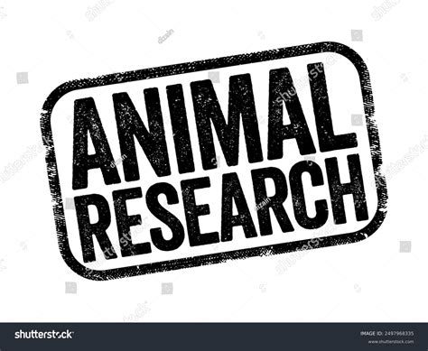 14 Euthanasia Rabbit Stock Vectors And Vector Art Shutterstock