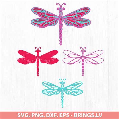 Dragonfly Svg 3d Dragonfly Svg Dragonfly Clipart Dragonfly Vector