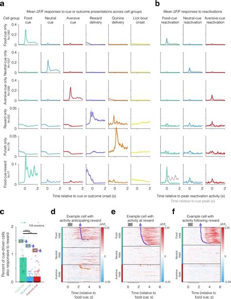 Generalized Linear Model For Categorizing Groups Of Lateral Visual