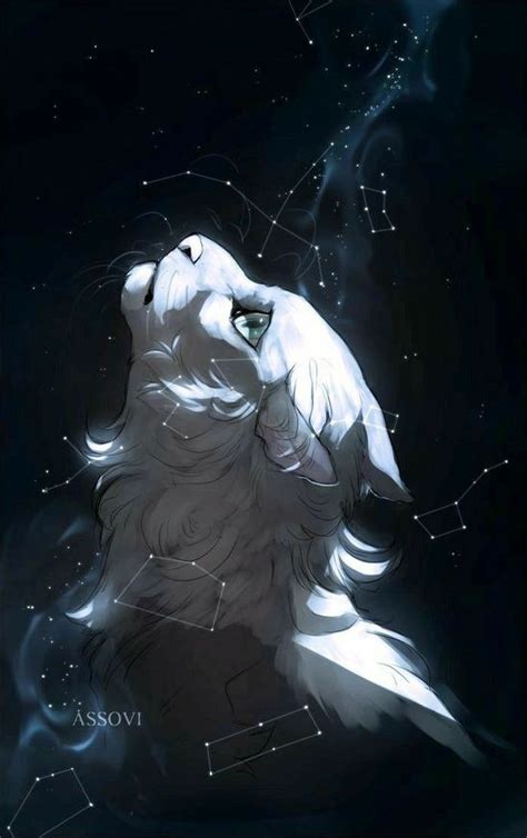 Makikofox Makikofox0fficial Profile Pinterest