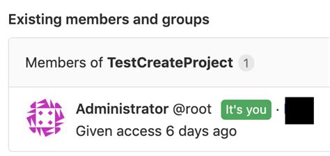Git Why Do I Have Permission To Push To A Newly Created Gitlab Project Stack Overflow