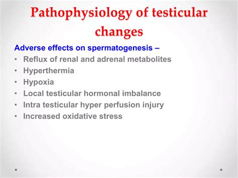 Varicocele And Infertilityppt