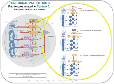 How To Apply The Viable System Model To Get A Fast Design Or Diagnosis