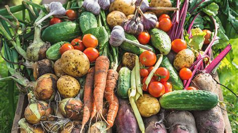 Top Benefits Of Growing Your Own Food At Home