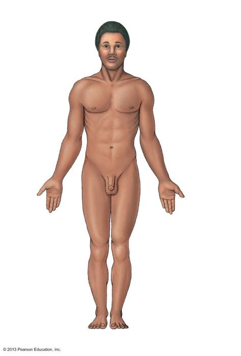 A P Terms Unit 1 Diagram Quizlet