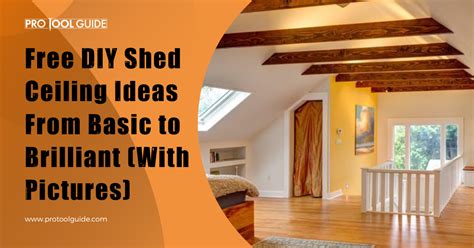 Cheap Ceiling Ideas For Shed Shelly Lighting