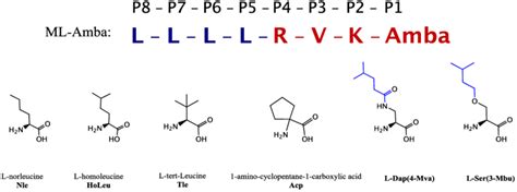 The Amino Acid Residues Selected To Modify The Leucine Core P8 P5