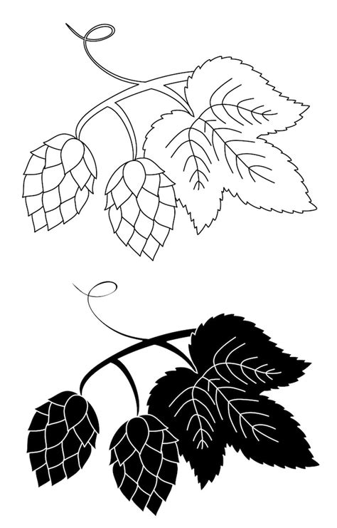 Premium Vector A Drawing Of Hops On A Branch With Leaves And The Word