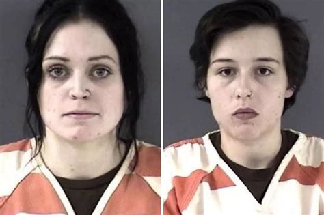 I 25 Traffic Stop South Of Cheyenne Leads To Felony Drug Arrest