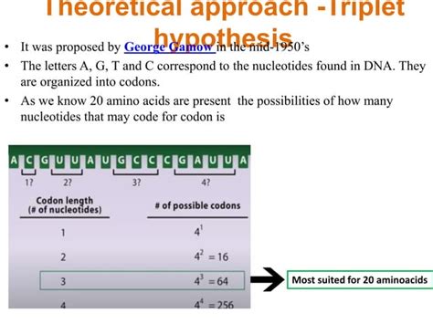 Deciphering Of The Genetic Code Pptx