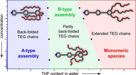 Pathway Controlled Aqueous Supramolecular Polymerization Via Solvent