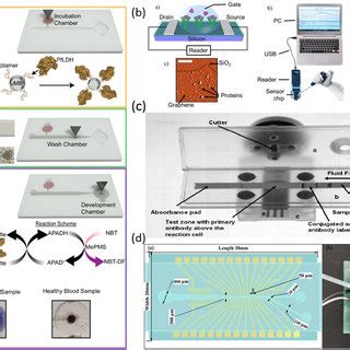 Portable Biosensors For Blood Biomarker Detection A Operation And Download Scientific