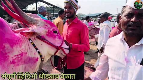 ट्रेलरचाकण बैल बाजारदि 11 नोव्हेंबर 2023 Youtube