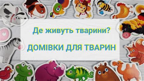 🐸 Хто де живе 🙉 ДЕ ЖИВУТЬ ТВАРИНИ 🐇🏠 Домівки тварин Розвиваючі мультики українською для дітей