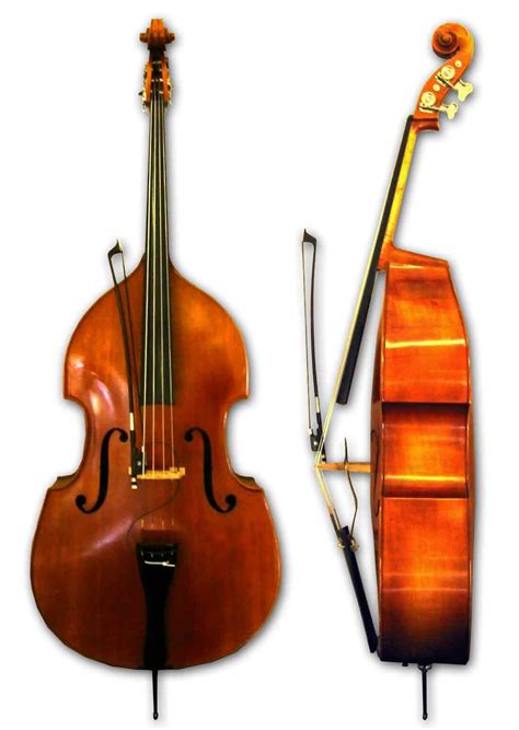 Violin Gut Strings