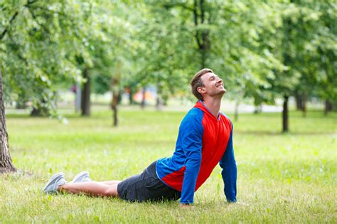 요가 남자 에 코브라 위쪽 직면 개 포즈 스트레칭 복근 복근 가냘픈에 대한 스톡 사진 및 기타 이미지 가냘픈 강사 개 Istock