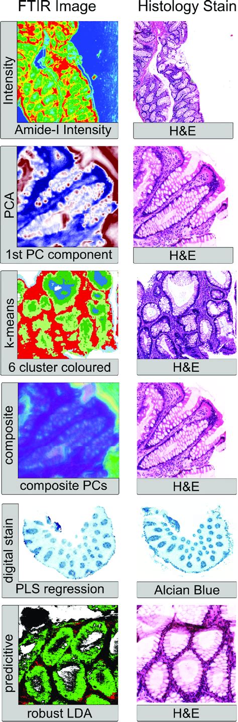 Comparison of (left panel) different visualisation methods for ...