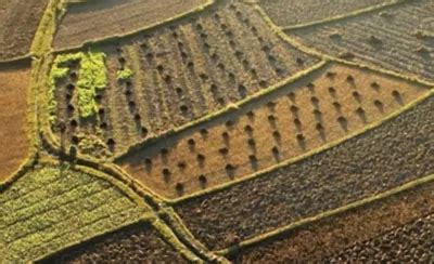Protecting Soil And Land I Corteva