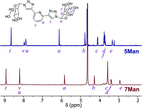 ¹h Nmr Spectra D2o Of Btp Ligand 5man Top And The Resulting Ruii
