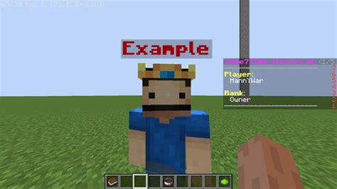 How To Setup Minecraft Znpcs Plugin In Aternos Full Guide YouTube