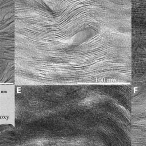 Luyi Yan University Of Florida Fl Uf Department Of Physics