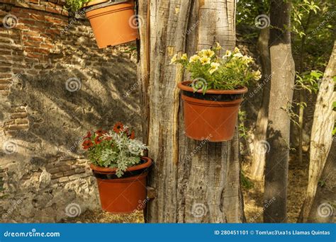 A Tree Trunk Loaded With Pots In An Urban Stock Image Image Of Park