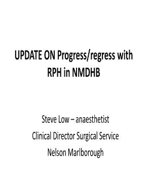 Fillable Online Hqsc Govt UPDATE ON Progressregress With RPH In NMDHB