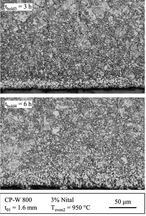 Micrograph Of Carburized Samples Download Scientific Diagram