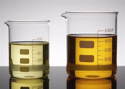 Dilute Vs Concentrated Which One Is Right For You