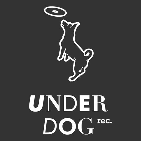 Summer Waves Compilation 2 Underdog Records