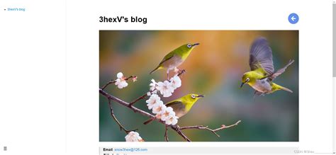 VSCode插件 轻量级静态博客 MDBlog vscode发布静态页面 CSDN博客