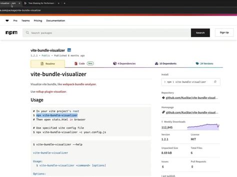 Vite Bundle Analyzer A Vuejs Lesson From Our Vuejs Course The Vue School