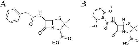 Figure 1 From Isolation And Host Range Of Staphylococcus Aureus Bacteriophages And Use For