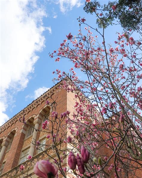 Bianca Freitas On Linkedin 💙 💛