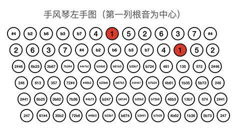 手风琴教程 Shawn Wang