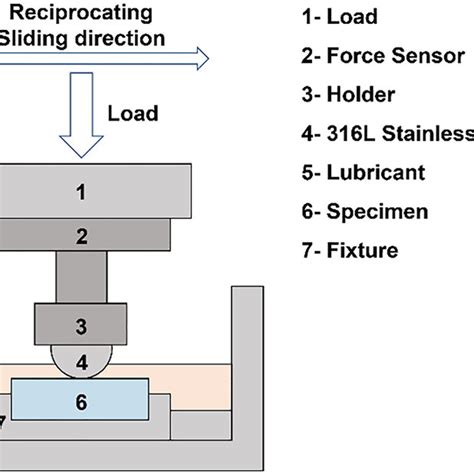 The Schematic Diagram Of The Bionic Articular Joint Interface Includes