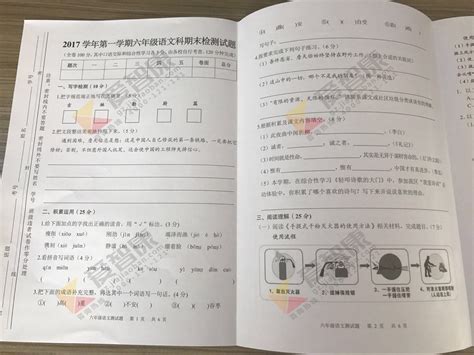 2017 2018学年广州番禺区六年级上学期期末语文试卷及答案解析广州学而思1对1