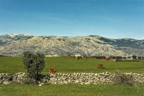 Premium Photo Plots In The Foothills Of The Guadarrama Mountain Range