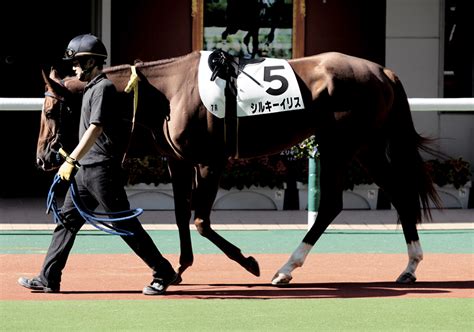シルキーイリス｜シルク・ホースクラブ公式｜silk Horse Club