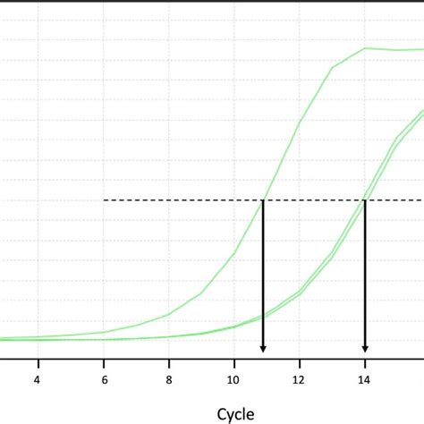 Amplification Plot Of Qpcr Download Scientific Diagram